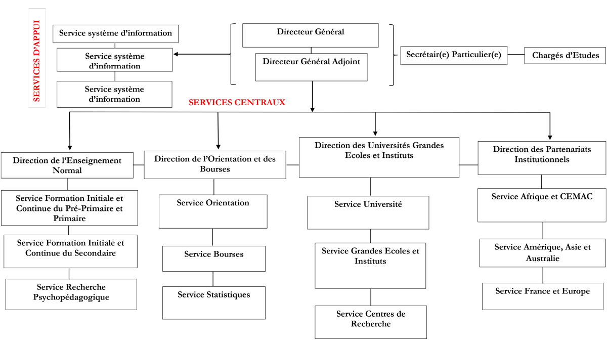 Organigramme de la DGES - DGES