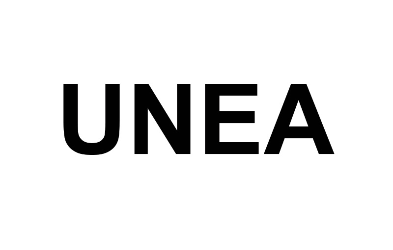 UNEA - Université Numérique Eco-Africaine - DGES